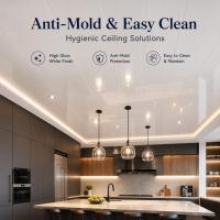 China High Gloss White PVC Ceiling Panels - Moisture Resistant Anti-Mold Cladding for sale