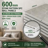 China SPC Wall Panel Stone Pattern Accent Wall Sheet Fire Retardant for Bedroom Interiors for sale