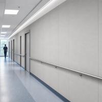 China Impact Resistant SPC Wall Panels for High-Traffic Areas Commercial Wall Cladding for sale
