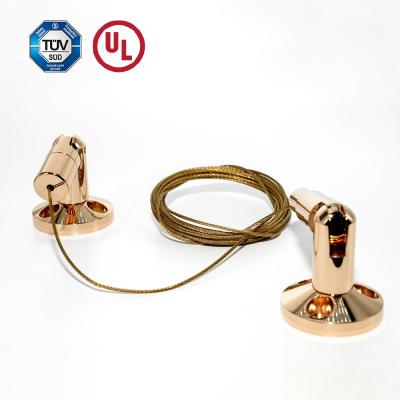 Cina Commercio all'ingrosso Kit di appesi per cartelloni in ottone con rivestimento in oro in vendita