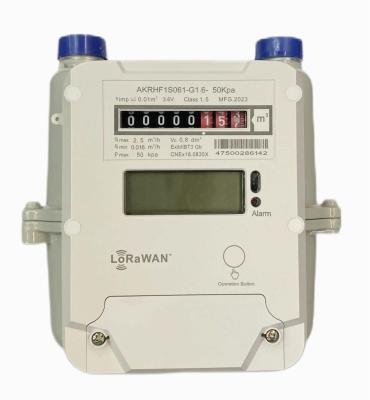China STS AMR Prepaid LORAWAN Gasmeter Te koop