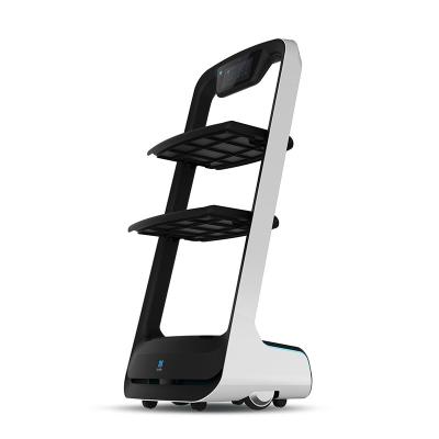 China High Quality Aluminum 5 Tray Customized Advertisement Meal Delivery Robot for Restaurants for sale