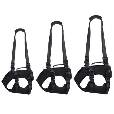 China Sustainable Sustainable Custom Design Heavy Duty Pet Accessories Custom Dog Harness Personalized Luxury Pet Harness for Dogs for sale
