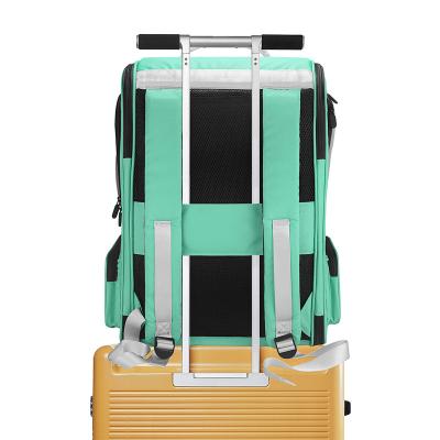 China Sustainable Sustainable Hongju  New Portable Carrying Pet Dog Cat Pack Transport Carrier Bag for sale
