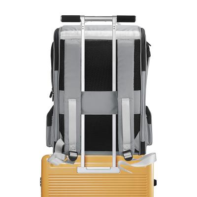 China Sustainable Sustainable Hongju Fit Up to 18 Lbs Pet travel bag Expandable Cat Pet Carrier dog backpack for Cats Dogs Small Animals for sale