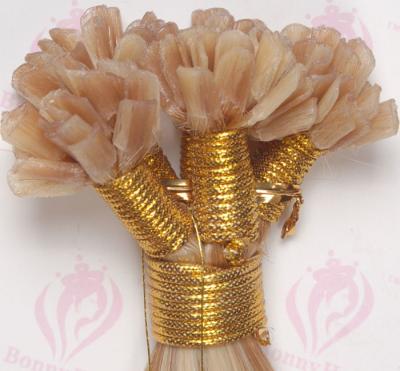 China 100% Remy Hair U Tip Hair Extension for sale