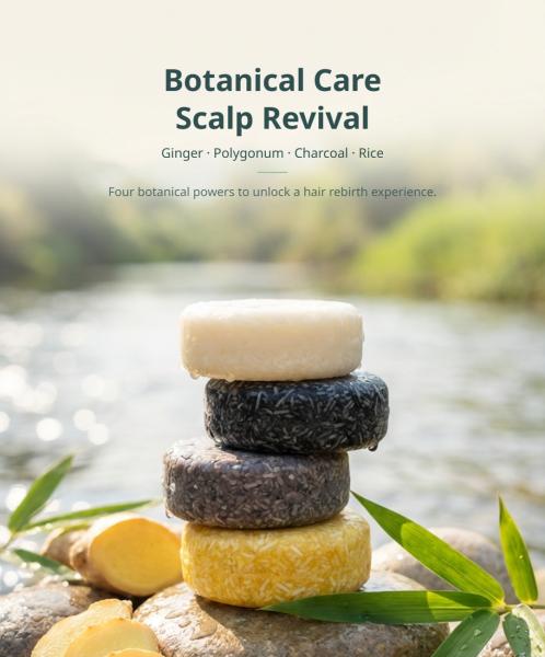 Quality OEM Shampoo Soap Bar Solid Herbal Shampoo Soap Eco Friendly for sale