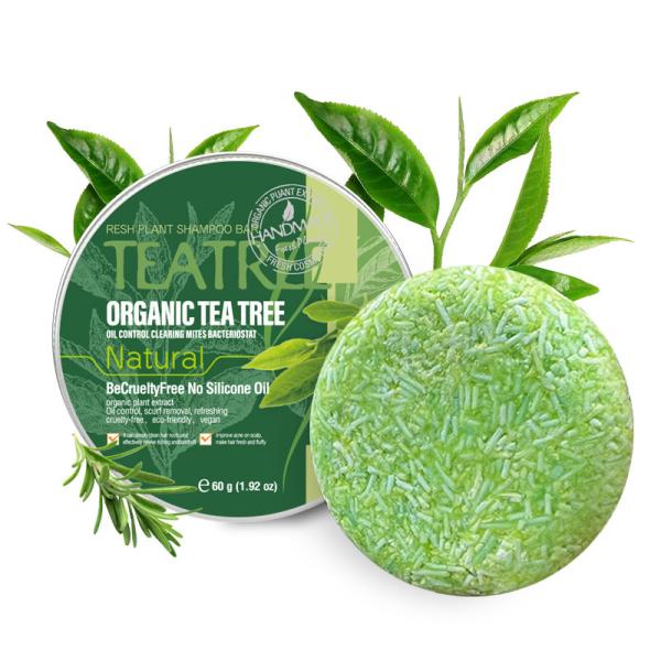 Quality Private Label Shampoo Soap Bar Tea Tree Oil Control Soap Compact for sale