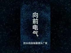 L‘undicesima Expo d‘accensione all‘aperto di Yangzhou, 2023
