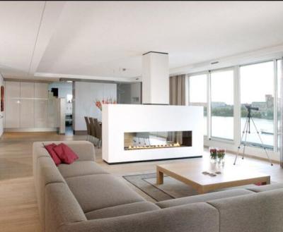 China Ethanol fireplace inserts with remote control intellgent silver  36 inch for sale
