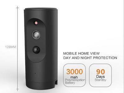 China Motion Detection wireless security cameras Real time Remote Voice Intercom PIR Function for sale