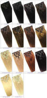 China Clip in Human Hair Straight Wavy Clip in Hair Extensions for Black Women for sale