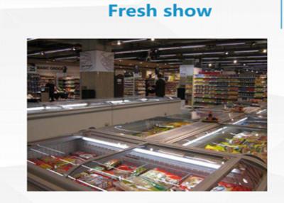 China High Lumen Supermarket LED Freezer Lights , IP65 LED Walk In Freezer Lights for sale