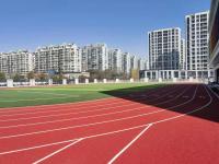 China All Weather Silicone Polyurethane Running Track With Good Appearance for sale