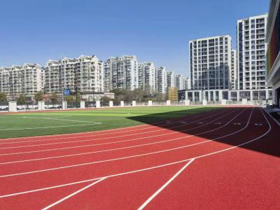 Cina Poliuretano per qualsiasi tempo del silicone che esegue pista con bell'aspetto in vendita