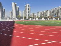 China All Weather Silicone Polyurethane Running Track With Good Appearance for sale