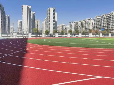 Cina Poliuretano per qualsiasi tempo del silicone che esegue pista con bell'aspetto in vendita