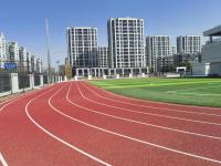 China All Weather Silicone Polyurethane Running Track With Good Appearance for sale