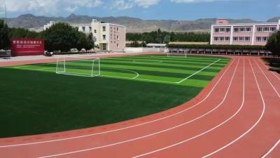 Cina Pista corrente di gomma atletica 13mm dell'unità di elaborazione della norma internazionale in vendita