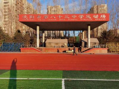 Cina Forte pavimentazione 13mm della pista dell'unità di elaborazione di resistenza all'azione degli agenti atmosferici di Wearresistance in vendita