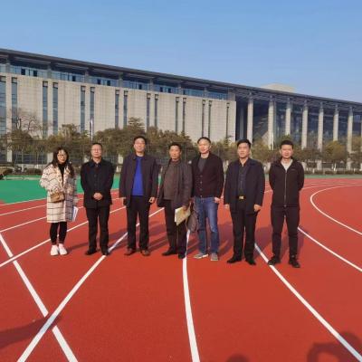 Cina unità di elaborazione sintetica di 13mm Laaf che esegue scorrevole di assorbimento di scossa della pista l'anti in vendita