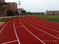 China SPU Rubber Runway Flooring Efficient Buffer Rebound And Durable Performance for sale