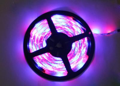 China Flexible 12V 5m RGB LED Strip Lights Color Changing for Home for sale