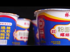 Noodles cinesi istantanee con 12 mesi di conservazione, noodle istantanei con sapore di vermicelli e lumaca