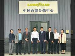 Pipper Tecnam vliegtuigband Goodyear luchtvaartband
