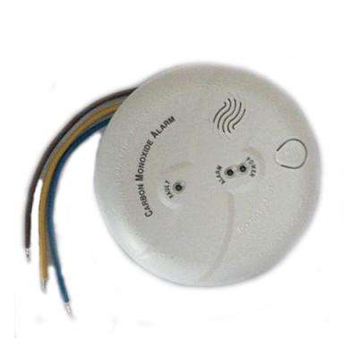 China VST-C598IH AC/ DC Operated Carbon Monoxide Alarm (CO Alarm) for sale
