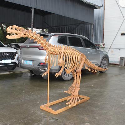 China Life Size Simulation Skeleton Dinosaur Fossil For Museum Exhibition for sale