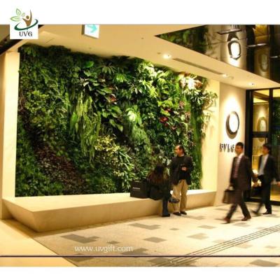 China UVG GRW03 Artificial Plant Walls for indoor outdoor garden decoration for sale