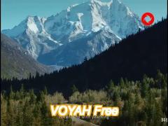 Dongfeng Voyah 