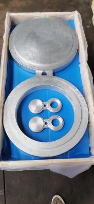 China 1500LB8 BL Flange RF Round Shape ASTM A182 F904L Steel Forge Flanges Highly Durable 12 inch Diameter Forge Flange for sale