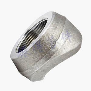 China Stainless Steel Ss304/316 Pipe Fittings Forged Fittings Threaded Olet ASME B16.9 for sale