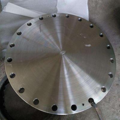 China Hastelloy C276 Nickel Alloy Steel Flange Blind Flange 6