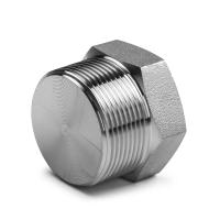 China TOBO Stainless Steel 304 NPT Hex Plug 3000# High Pressure Pipe Fitting 1/8-6 Inch for sale