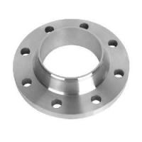 China Chemical Processing Weld Neck Flange for sale