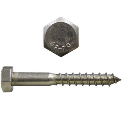 China High Strength Din 571 Hex Screw Fasteners M6-M12 Stainless Steel 304 For Wood House for sale