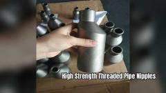 High Strength Duplex 2205 Threaded Pipe Nipples