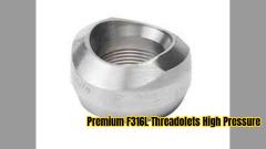 ASTM A182 F316L Threadolet High Pressure Branch Fittings