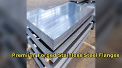 Custom Forged Stainless Steel Flanges 304 316L Industrial