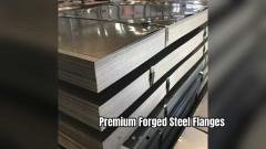 High Quality 316L Stainless Steel Forged Flange Plates