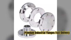 High Quality Alloy Steel Paddle Blind Flanges for Industry