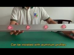 LED Point cion Light