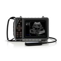 Quality Yonker Portable Ultrasound Machine Ultrasound Machine for Animal/cattle Cow for sale