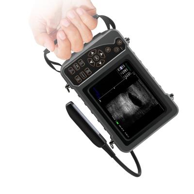 China Yonker Veterinary Ultrasound Pregnancy Ultrasound Scanner for Animal Dog Vet Portable Digital Ultrasound for sale