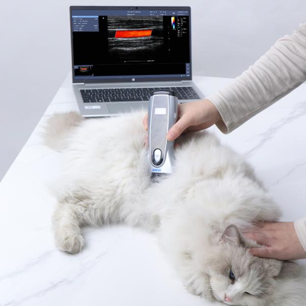 Quality Wifi Yonker Double Probe Mini Handheld Cow Pet Animal & Portable Machine Vet Veterinary Ultrasound Scanner Monitor for sale
