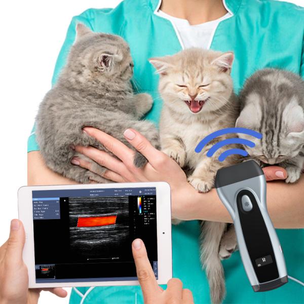 Quality Wifi Yonker Double Probe Mini Handheld Cow Pet Animal & Portable Machine Vet for sale
