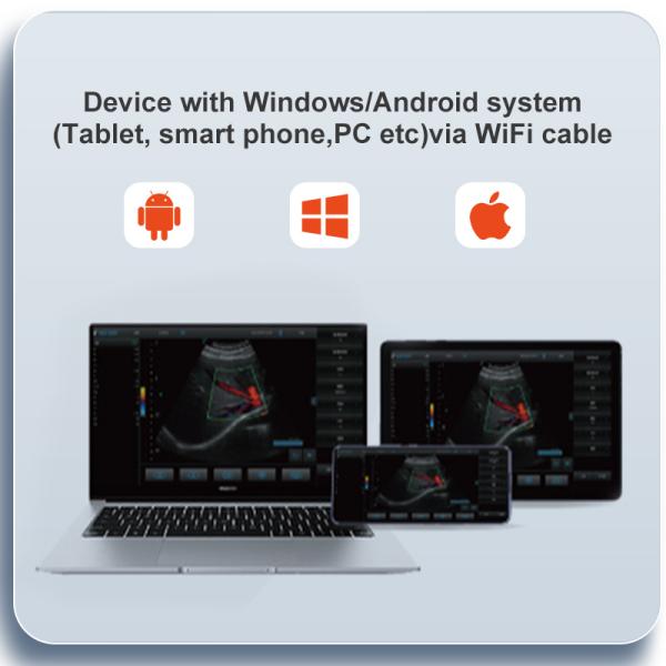 Quality Wifi Yonker Double Probe Mini Handheld Cow Pet Animal & Portable Machine Vet for sale